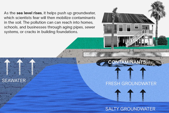 groundwater graphic - Rachel Carson Council